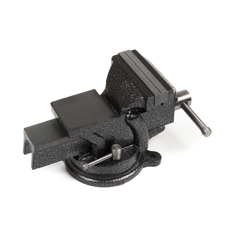 Polax bench vice, rotary, 100 mm (25-099) buy at a low price in Polax